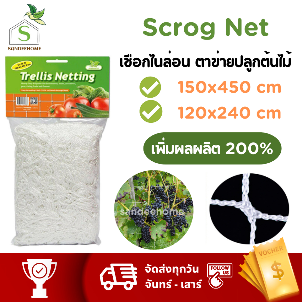 Scrog net ตาข่าย ปลูกต้นไม้ เชือกไนล่อน 150x450cm ขนาดใหญ่ คุ้มมาก ...
