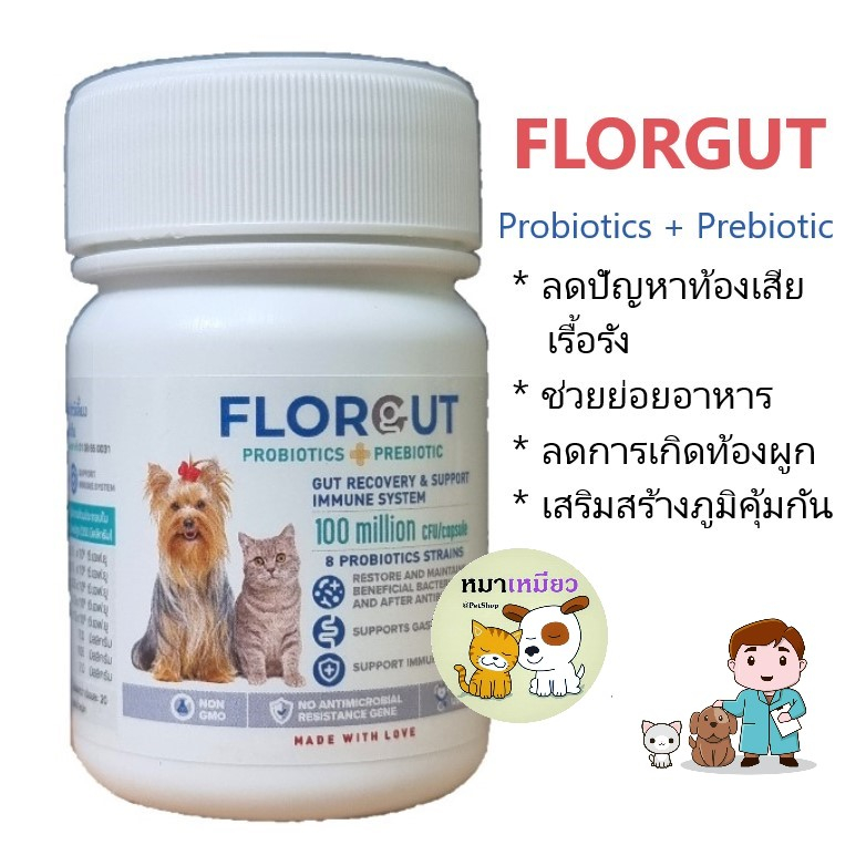 FLORGUT S อาหารเสริมโพรไบโอติกส์และพรีไบโอติก ลดปัญหาท้องเสียเรื้อรัง ...