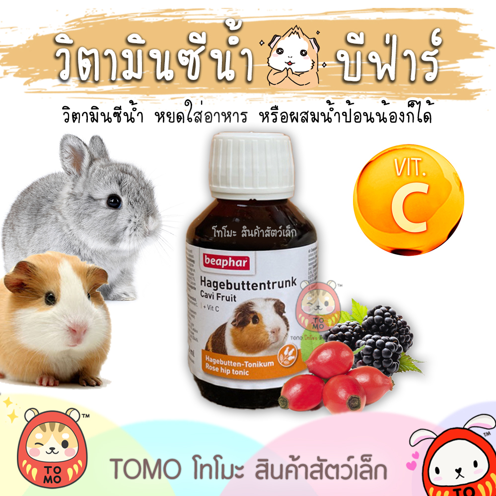 ร้านโทโมะ 💕 แพคเกจใหม่! วิตามินซี Beaphar วิตามินน้ำ Cavi Fruit เสริม ...