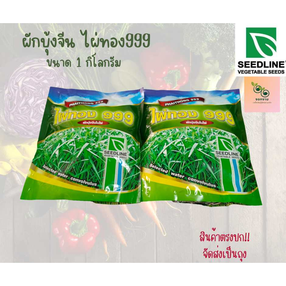 เมล็ดผักบุ้งจีน ไผ่ทอง999 ขนาด 1 กิโลกรัม ตราseedline ปลัก-ส่ง คุณภาพดี ราคาถูก | Shopee Thailand