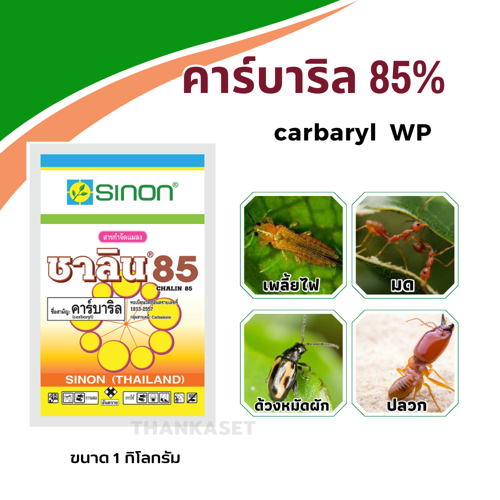 คาร์บาริล 85% carbaryl WP (เซฟวิน85) กำจัดเพลี้ย แมลงใต้ดิน ปลวก มด ...