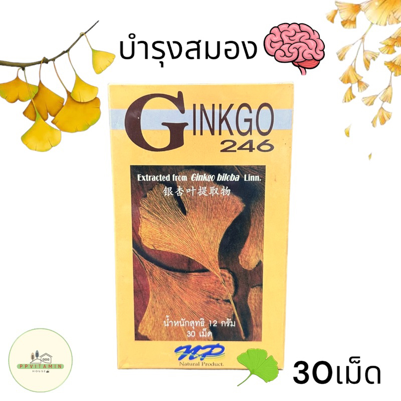Ginkgo 246 30เม็ด แปะก๊วยสกัดชนิดเม็ด | Shopee Thailand