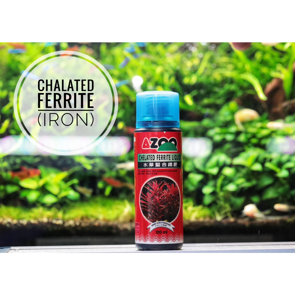 AZOO ปุ๋ยไม้แดง (แร่ธาตุรอง TRACE ELEMENTS) / (ธาตุเหล็ก CHELATED FERRITE LIQUID) ขนาด 120 ml ...