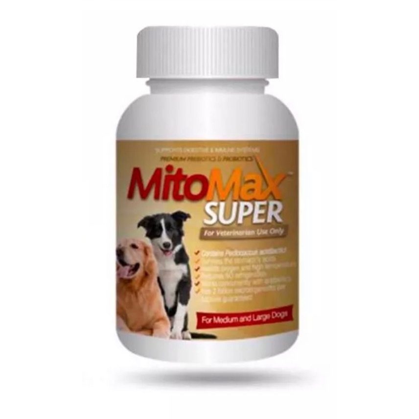Mito Max Super Medium and Large Dog (Premium Probiotic) โปรไบโอติก ...