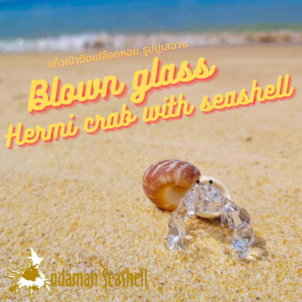 Andaman seashell แก้วเป่าติดเปลือกหอย รูปปูเสฉวน ติดเปลือกหอย 42 ...