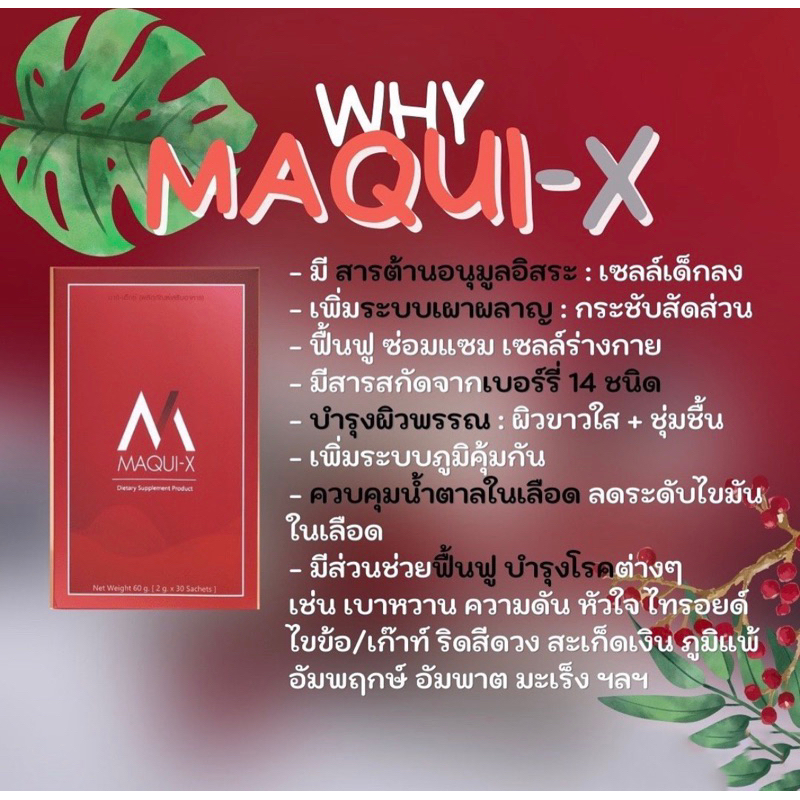 MAQUI-X - บำรุงสายตา สารต้านอนุมูลอิสระ ชะลอความเสื่อมของเซลล์ | Shopee ...
