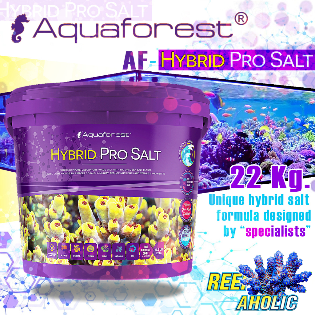 Aquaforest Hybrid Pro Salt 22 Kg เกลือทะเลสูตรใหม่ไฮบริด คัดแบคทีเรียหน้าใสจากห้อง Lab มาฟิวชั่น ...