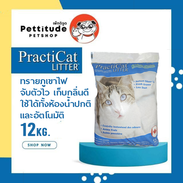 ทรายภูเขาไฟ ราคาถูก Practi Cat (แพลทติแคท) 12 kg. ทรายแมว Practicat ...