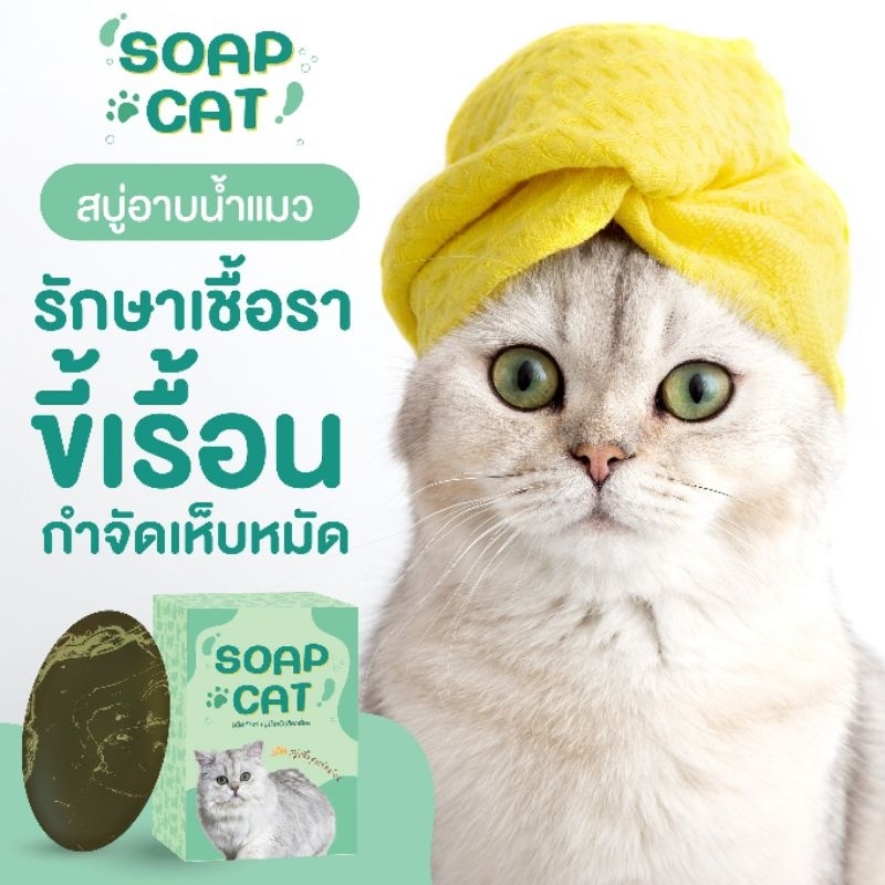 soap cat สบู่สำหรับสัตว์เลี้ยงออแกนิค100% แก้เชื้อรา ขี้เรื้อน กำจัด ...