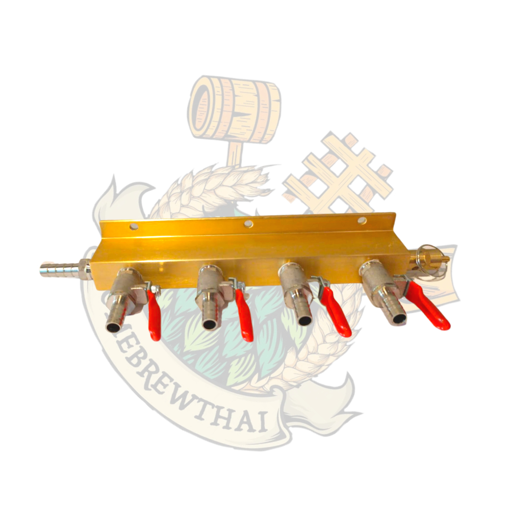 Compressed Gas Manifold อุปกรณ์สำหรับกระจายก๊าซ แบบต่างๆ | Shopee Thailand
