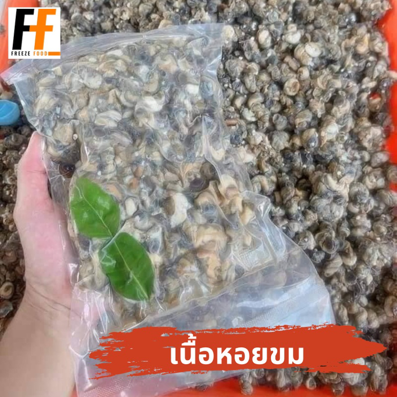 เนื้อหอยขม 1 กิโลกรัม | PERIWINKLE MEAT | Shopee Thailand