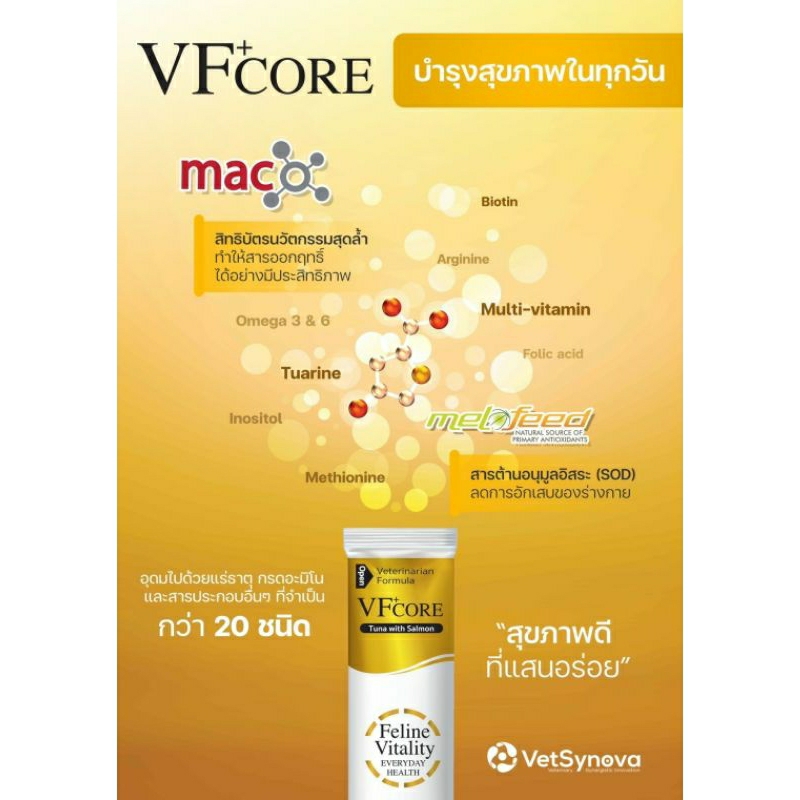 ยกกล่อง Vfcore Vitality สีทอง แมวเลียวิตามินแบบแมวเลีย บรรจุ 30 ซอง | Shopee Thailand