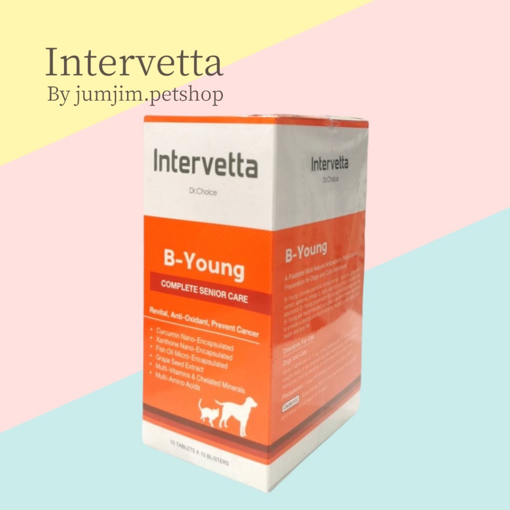 Intervetta B-Young 100เม็ด สำหรับหมาแก่และบำรุงสายตา วิตามินสุนัข | Shopee Thailand