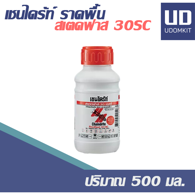 เชนไดรท์ผสมน้ำราดพื้น เชนไดร้ท์ ราดพื้น สูตรน้ำ(CHAINDRITE) 500ml เชนได ...