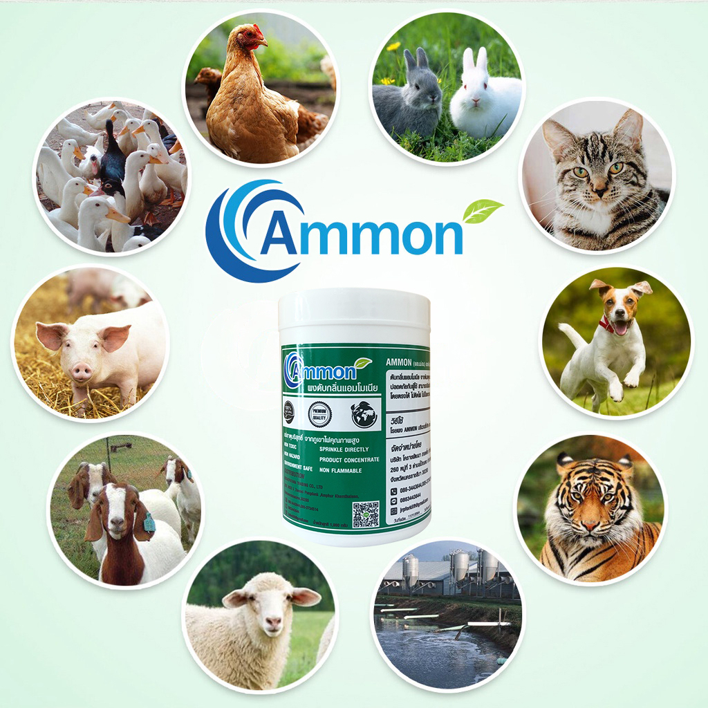 Ammon(แอมม่อน)1กก.ผงดับกลิ่นแอมโมเนียก๊าซไฮโดรเจนซัลไฟด์(ก๊าซไข่เน่า ...