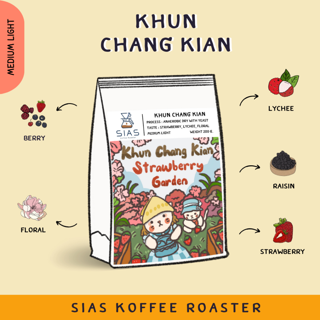 เมล็ดกาแฟคั่ว Khun Chang Kian Strawberry Garden By Sias Koffee Roaster | Shopee Thailand