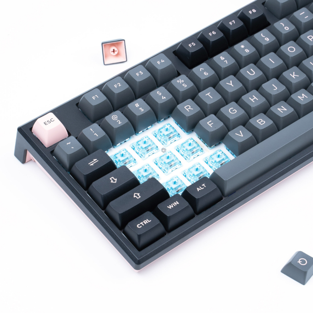 คีย์บอร์ด MonsGeek MG108 Black&Pink Full size 108 Button Wired RGB ...