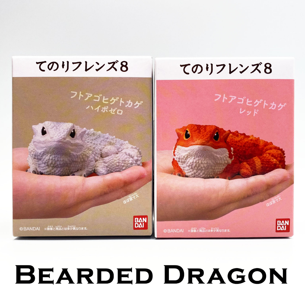 แยก Bearded Dragon Lizard Bandai Tenori Friends 8 โมเดลสัตว์ กิ้งก่า ...
