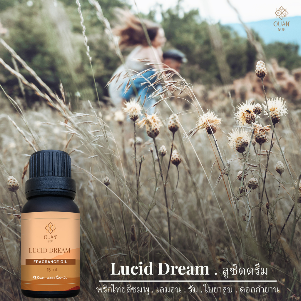 Fragrance Oil กลิ่น Lucid Dream สงบ อบอุ่น โรแมนติค | อวล | น้ำมันหอม ...