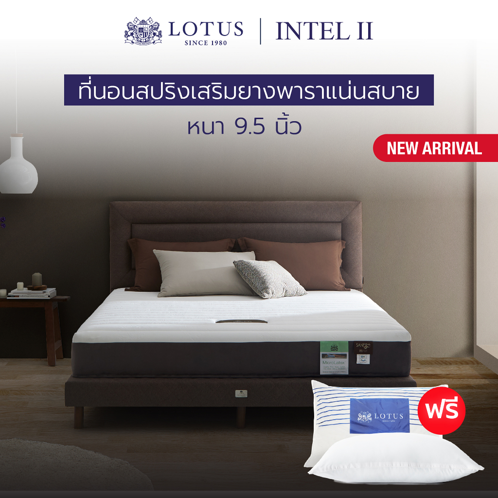 LOTUS ที่นอนยางพาราลดอาการปวดหลัง นำเข้าจากประเทศเบลเยี่ยม รุ่น Intel ...