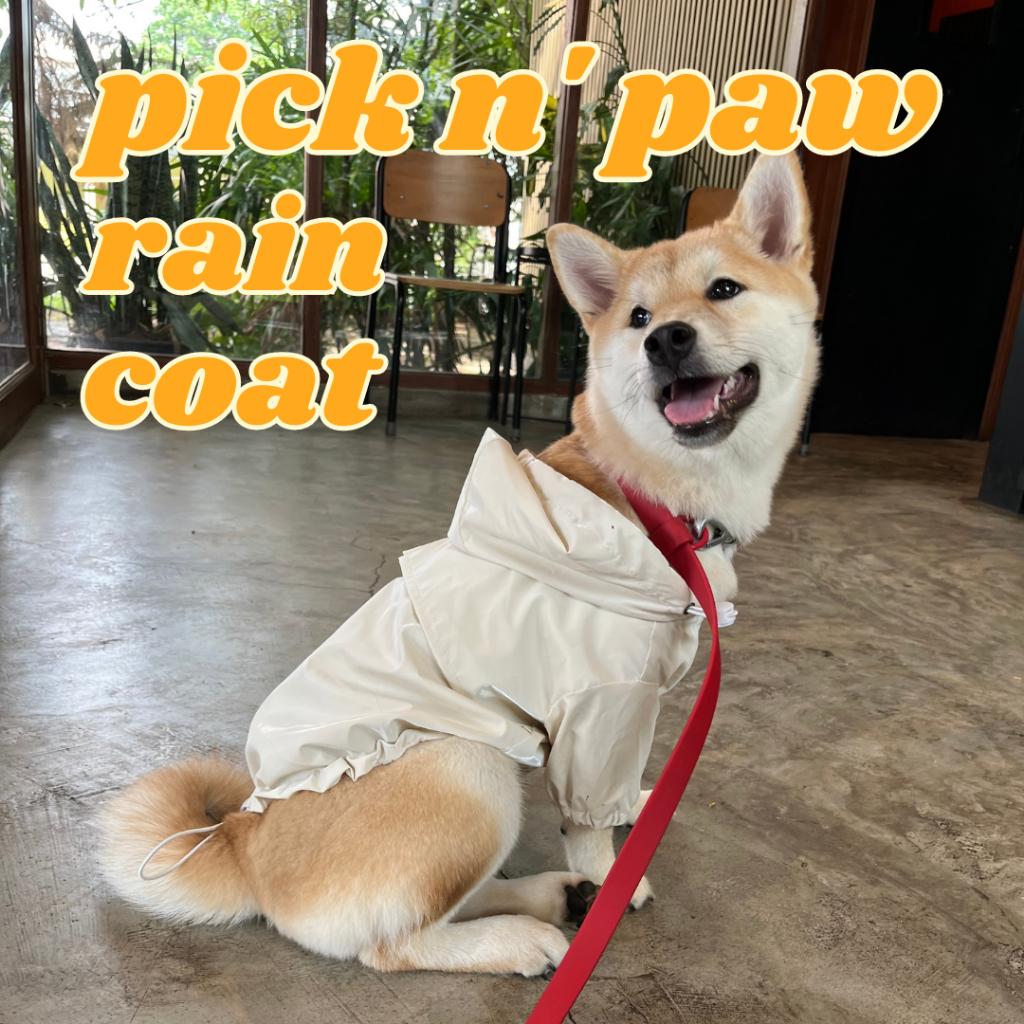(พร้อมส่ง) เสื้อกันฝน ป้องกันUV สำหรับสุนัขและแมว pick n paw | Shopee ...