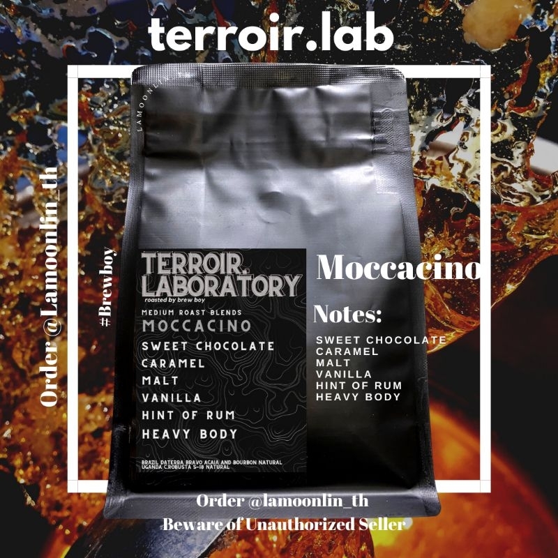 เมล็ดกาแฟ " Moccacino " - Terroir Laboratory - Medium Roast - 250g ...