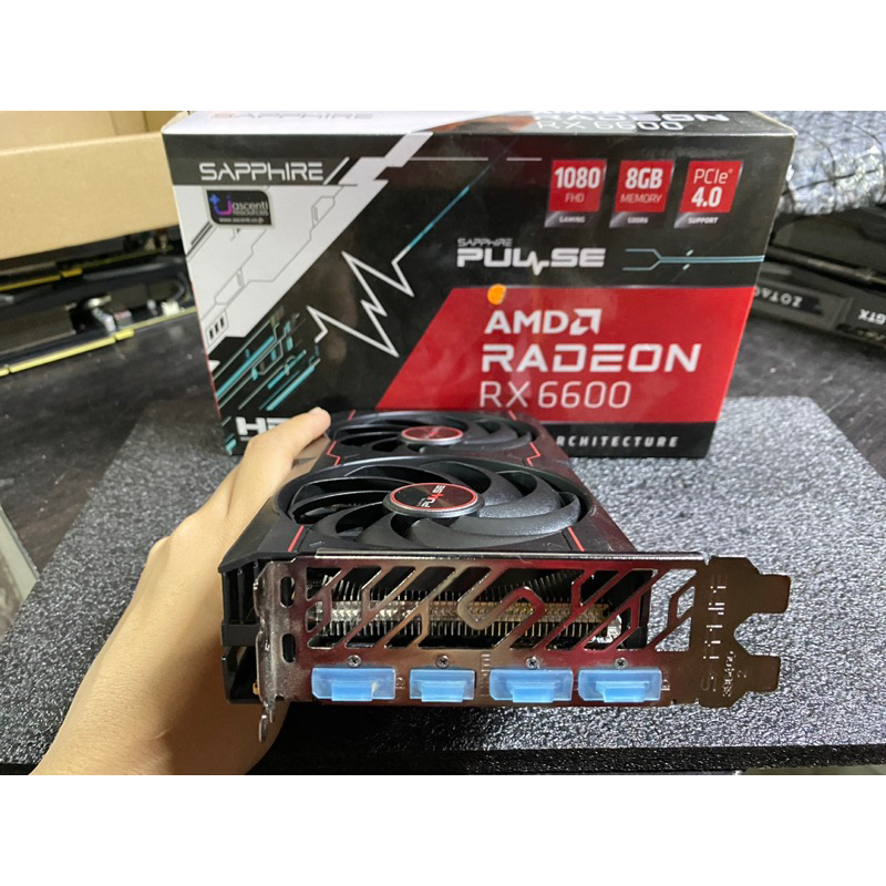 RX6600 8GB SAPPHIRE PULSE | Shopee Thailand
