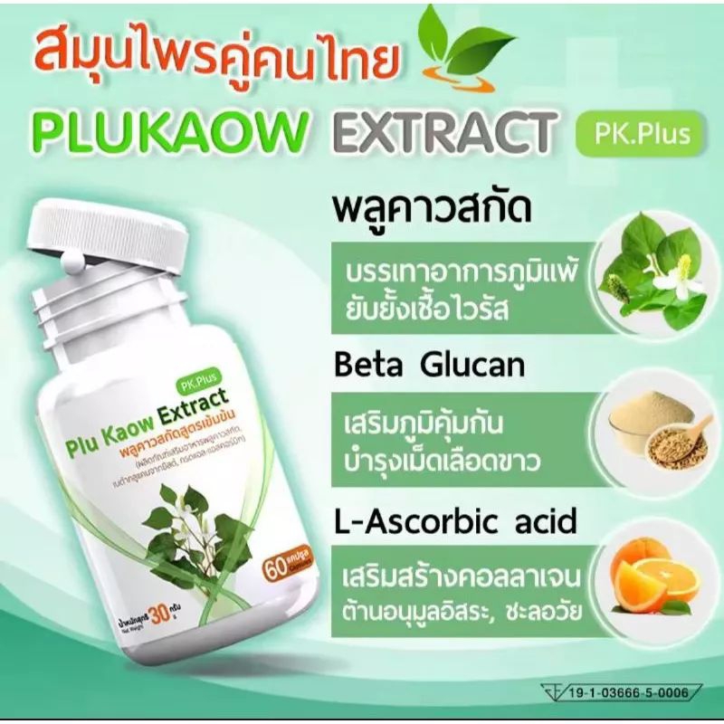 PK Plus Plu Kaow Extract (60แคปซูล)พลูคาวสกัด | Shopee Thailand