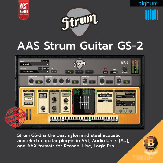 AAS Strum GS-2 GUitar v2.4.3 VST |Full working |lifetime All OS ...