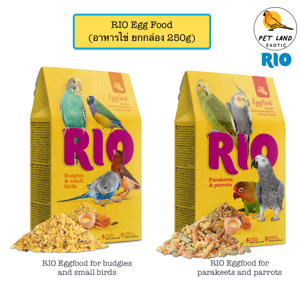 สินค้าลงใหม่‼️ Rio Egg Food for budgie/Parakeet&Parrot อาหารไข่ ยกกล่อง ...