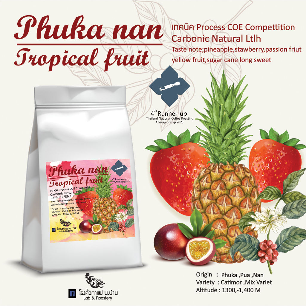 เมล็ดกาแฟคั่ว อ่อน ภูคา Phuka Tropical Fruitเทคนิคแปรรูปประกวด COE ...