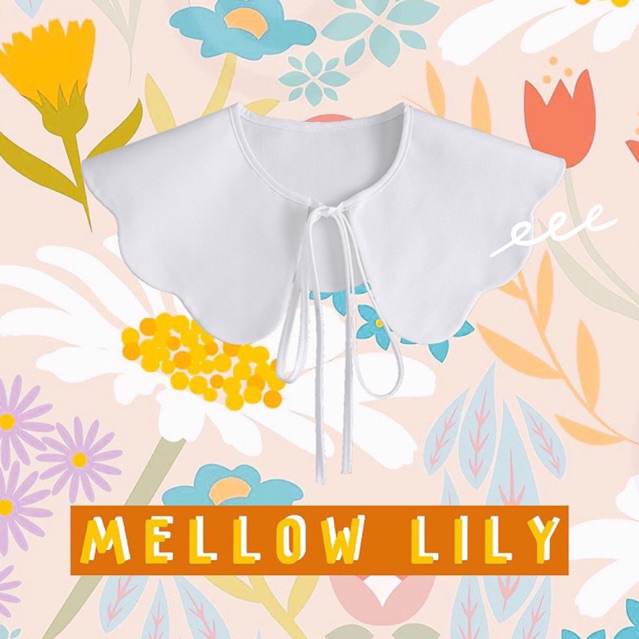 พร้อมส่ง 🧡 MELLOW LILY 🧡 ปกคอถอดได้ ปกคอปลอม สีขาว ผ้าฝ้ายอย่างดี ...
