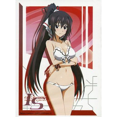 Bushiroad Sleeve HG Infinite Stratos [Shinonono Houki] Swimsuit Ver. | Shopee Thailand