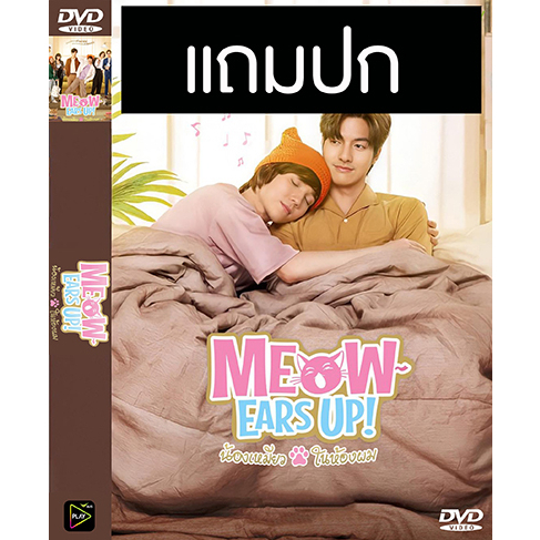 DVD ซีรี่ย์วาย-ไทย Meow Ears up น้องเหมียวในห้องผม (ปี 2565) (แถมปก) | Shopee Thailand