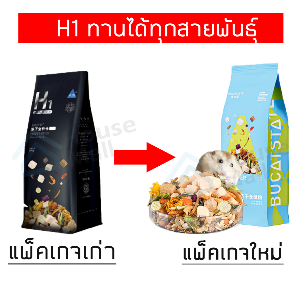 อาหารหนูแฮมสเตอร์ Hammer Food แฮมสเตอร์ แฟตเทล ไจแอ้น แคระ Bucatstate ...