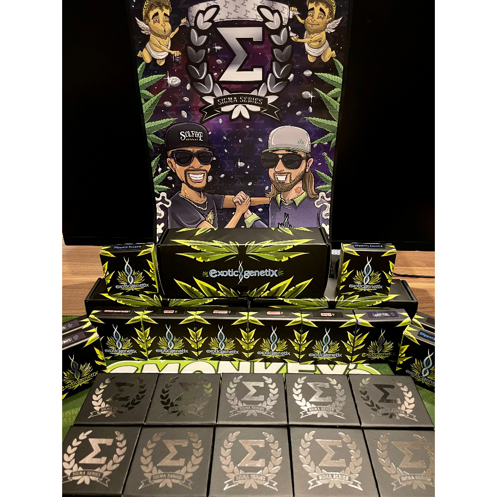 Solfiregarden X exotic Genetix เมล็ดพันธุ์กัญชานอก | Shopee Thailand