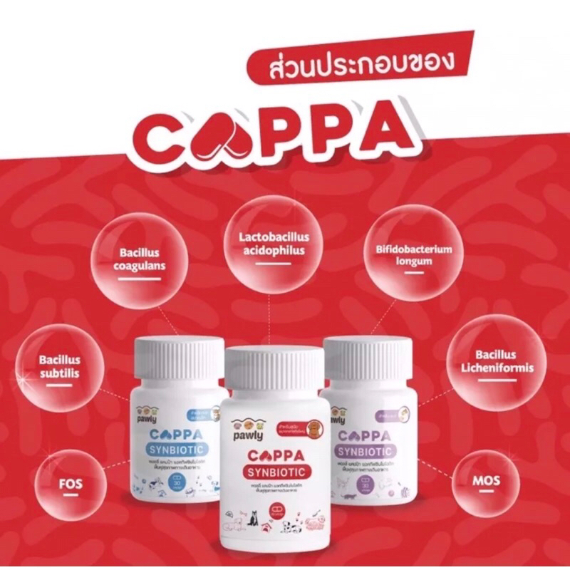 Pawly Cappa แอคทีฟซินไบโอติกฟื้นฟูทางเดินอาหารสัตว์เลี้ยง กระปุก 30 เม็ด | Shopee Thailand