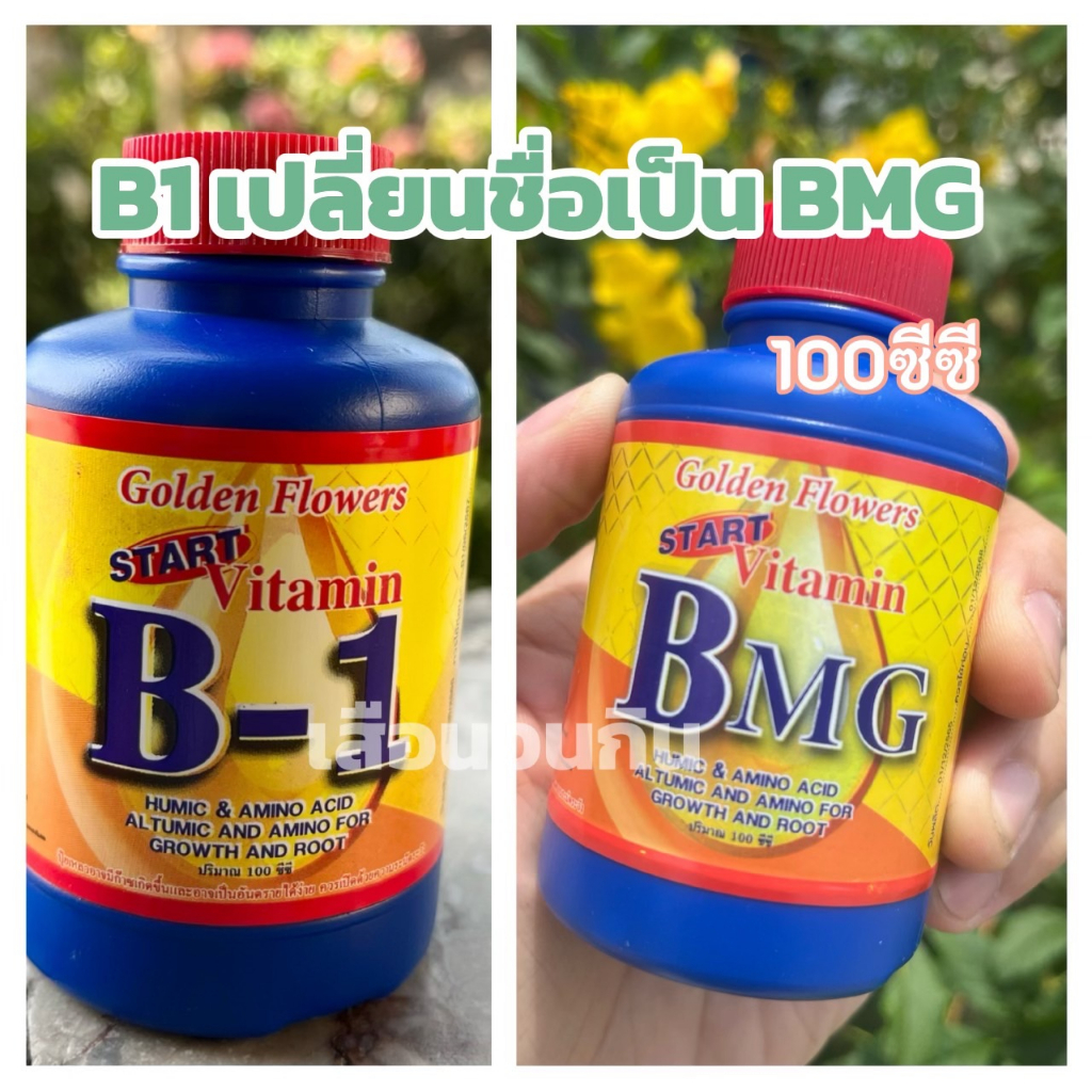 น้ำยาเร่งราก B1 (**รุ่นใหม่ เปลี่ยนชื่อเป็น BMG) คลุกเมล็ด ตอนกิ่ง ปัก ...