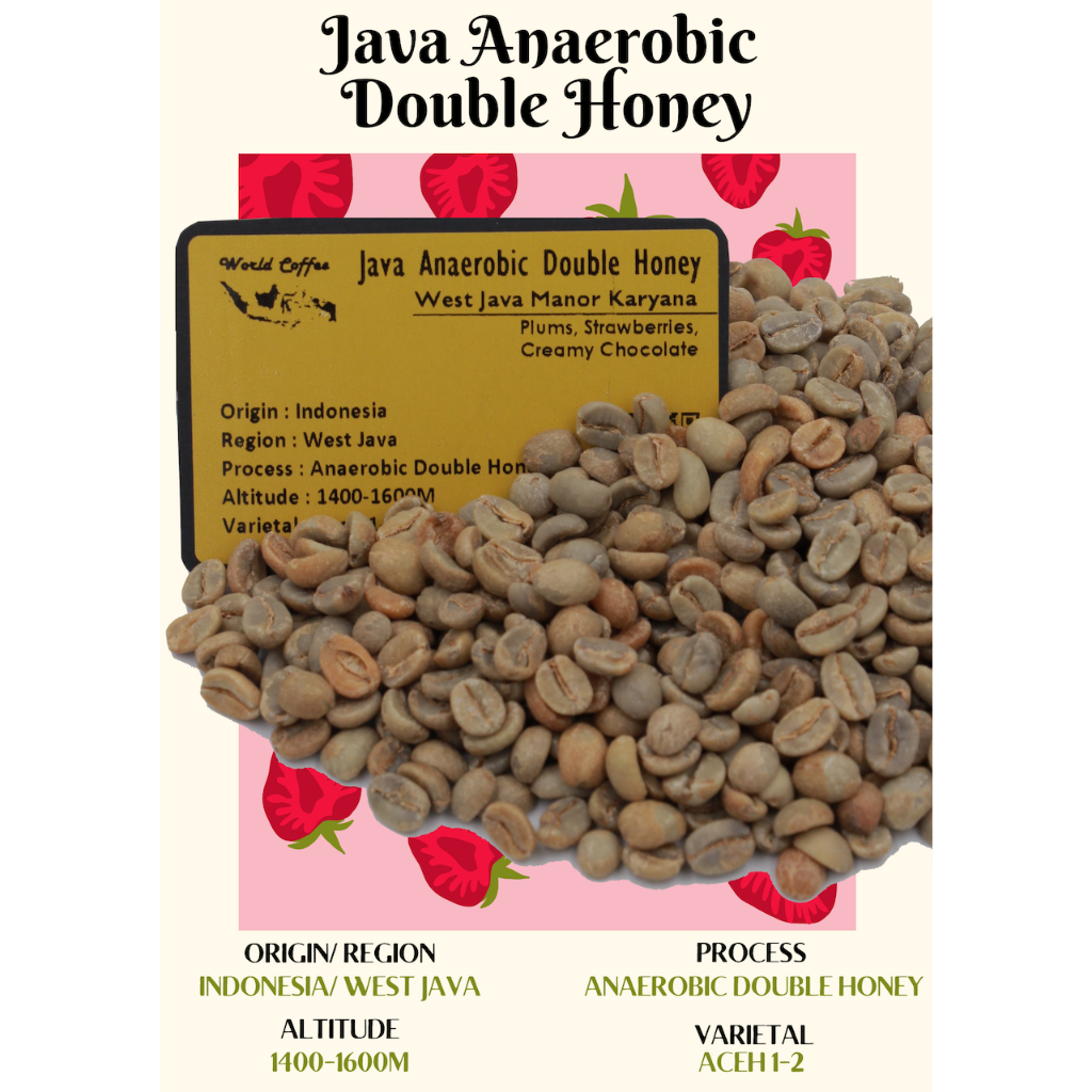 พร้อมส่ง เมล็ดกาแฟ Java Anaerobic Double Honey process/ เมล็ดกาแฟนอก ...