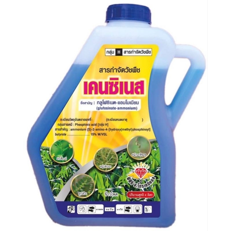 เคนซิเนส กลูโฟซิเนตแอมโมเนียม 15 W/VSL ขนาด 4 ลิตร เกรดพรีเมี่ยม น้ำสี ...