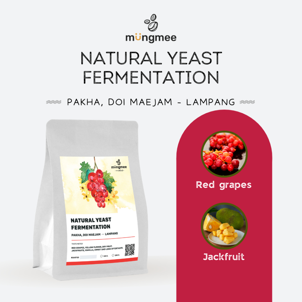 Mungmee Coffee เมล็ดกาแฟ คั่วอ่อน Natural Yeast Fermentation | Shopee ...