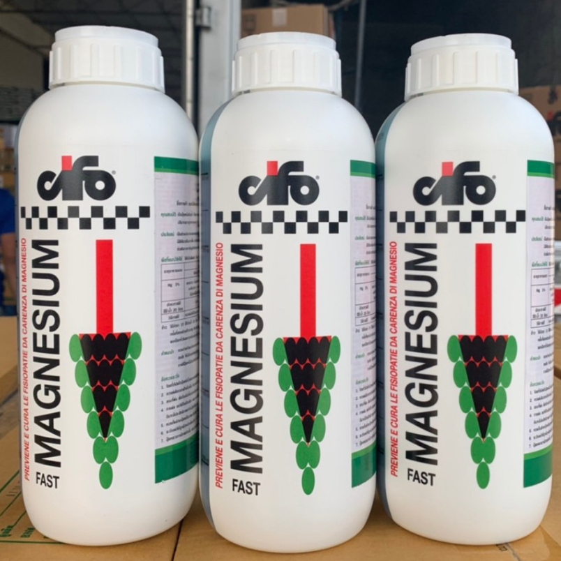แมกนีเซียมพาสส์ (Mg-Fast) แม็กนีเซี่ยมนำเข้าจากอิตาลี่ | Shopee Thailand