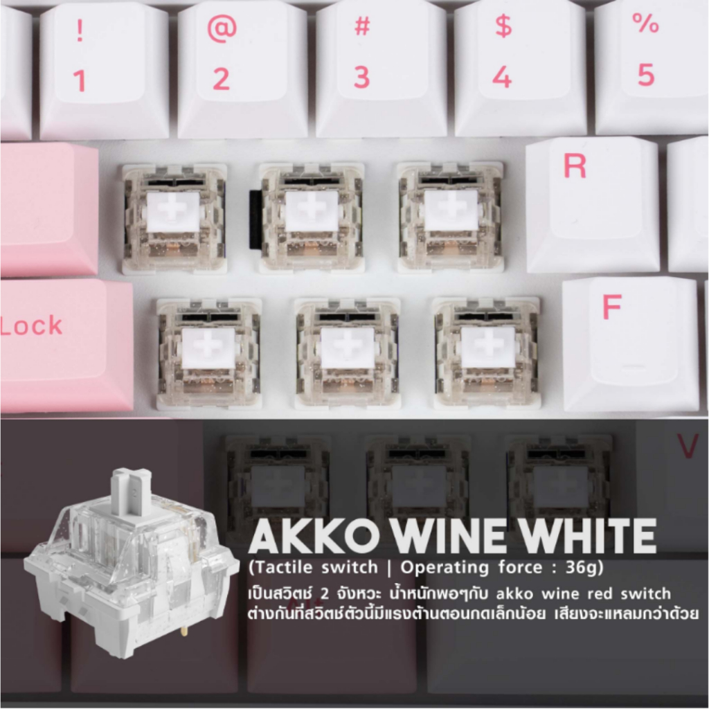 คีย์บอร์ด Akko 3108 Plus Prunus Lannesiana 108 Button Wired Mechanical Keyboard by UTECH ...
