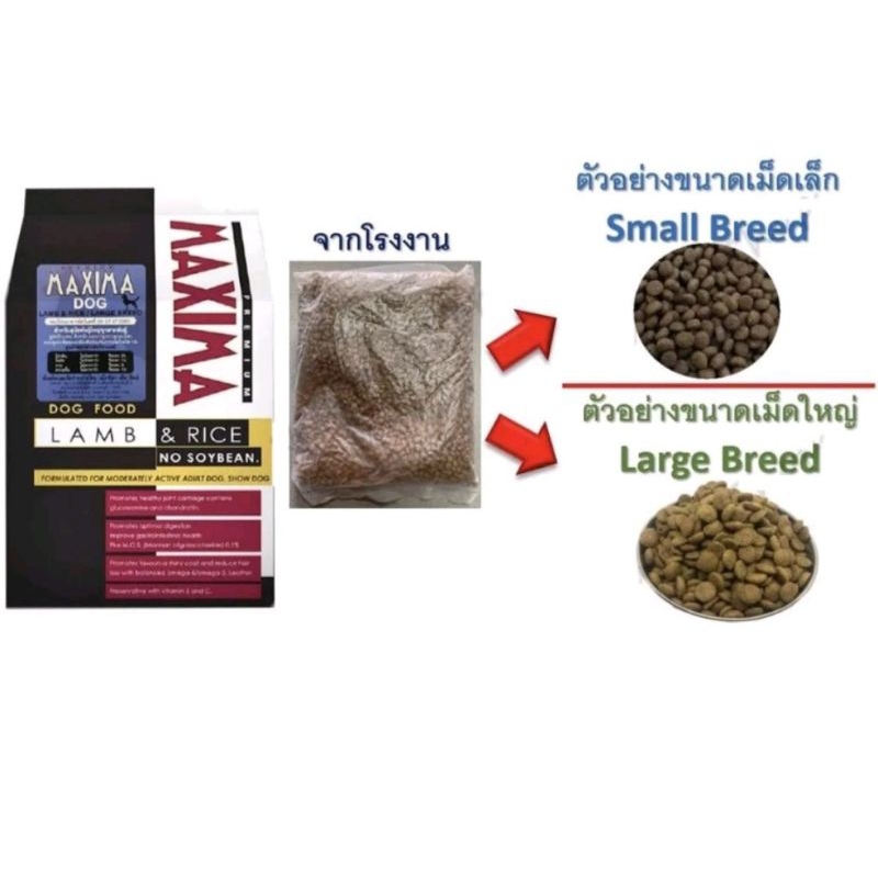 MAXIMA DOG LAMB & RICE - 15KG อาหารสุนัข Maxima 15 กก.สำหรับสุนัขพันธุ์ ...