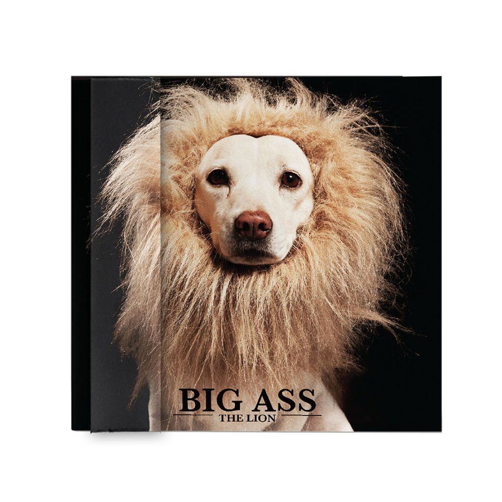 GMM GRAMMY : Vinyl Big Ass อัลบั้ม The Lion | Shopee Thailand