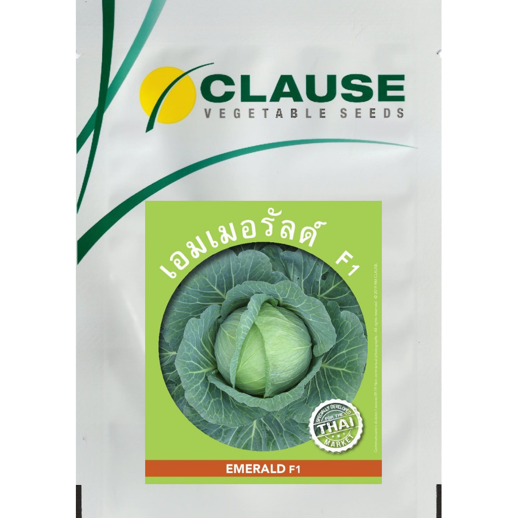 CLAUSE กะหล่ำปลี สายพันธุ์ลูกผสม เอมเมอร์รัลด์ (CABBAGE Emerald F1 ...