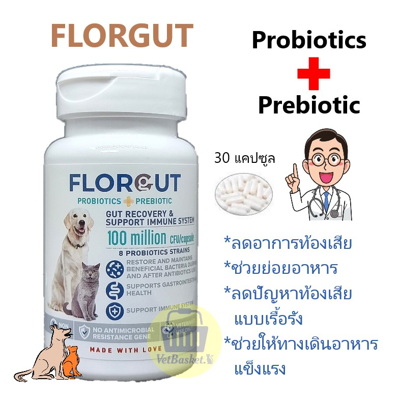 FLORGUT อาหารเสริมโพรไบโอติกส์และพรีไบโอติก ลดอาการท้องเสียเรื้อรังใน ...