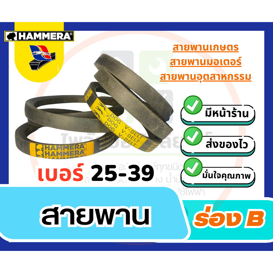 สายพานร่อง B ตราหมา DOG / HAMMERA เบอร์ B25,B26,B27,B28,B29,B30,B31,B32,B33,B34,B35,B36,B37,B38 ...