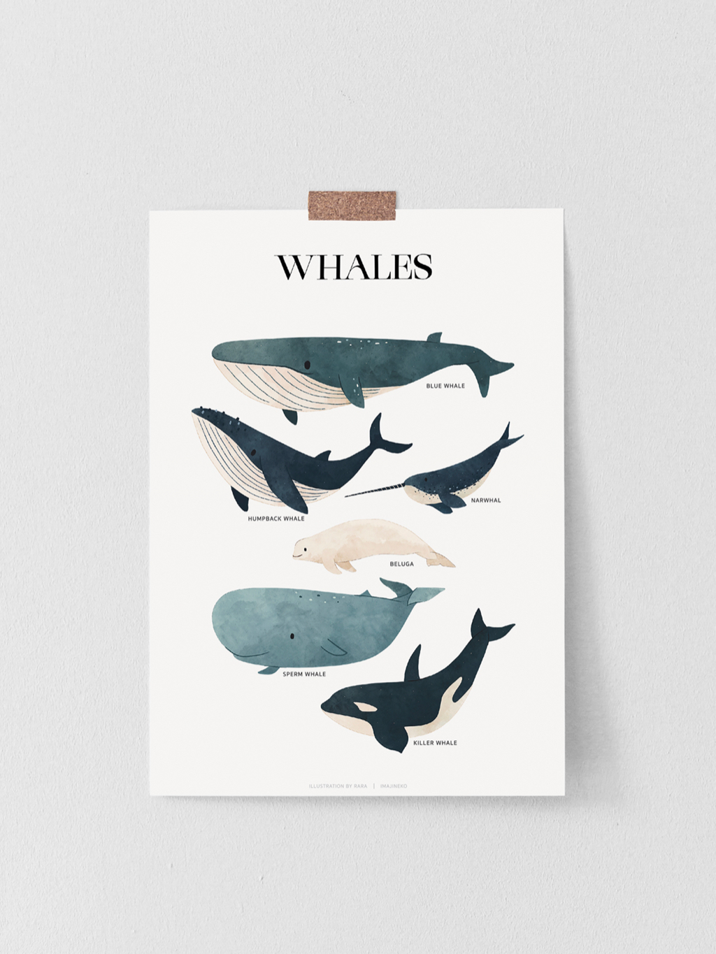 Whales poster in A3 : matted paper poster | Shopee Thailand