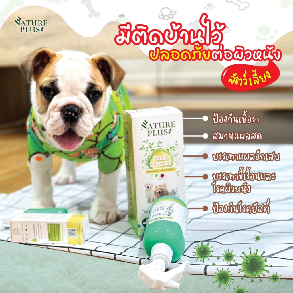 สเปรย์นาโนไคโตซานพลัส รักษาเชื้อรา ขี้เรื้อน แผสลด หยุดทุกปัญหาโรคผิวหนัง สุนัข และ แมว ด้วย ...